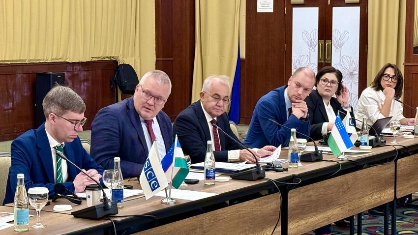 OSCE workshop in Tashkent promotes responsible business and human ...